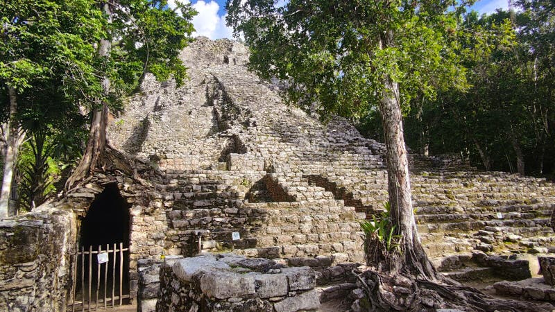 Ancient Steps of the Forest Temple Stock Photo - Image of large, gated ...