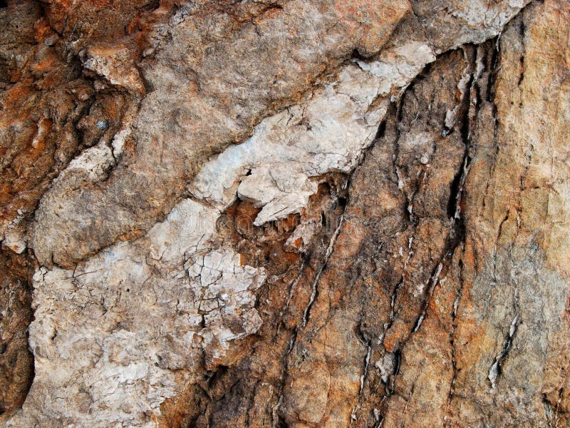 Slice of Stone Rocks Geological Background Stock Image - Image of close ...