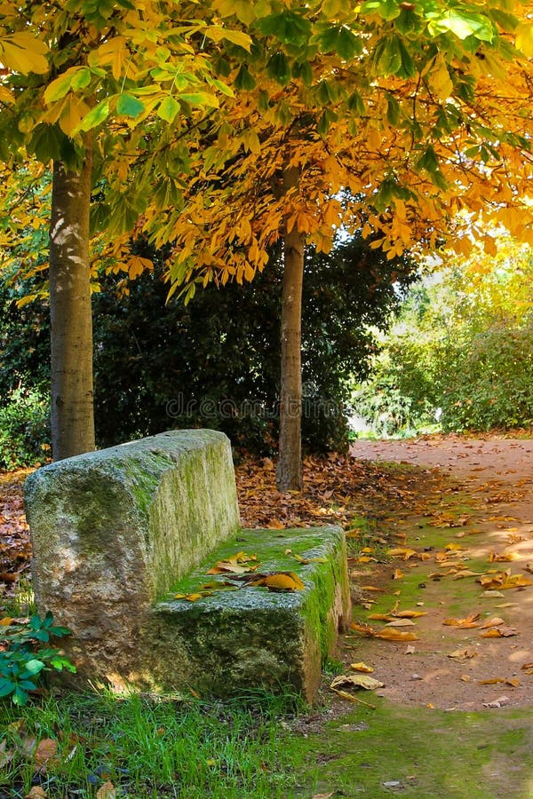 Ancient Stone Bench in a Park Granada Spain Stock Image - Image of ...