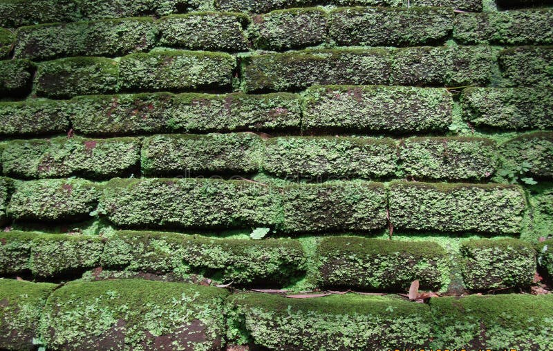 Ancient Stone Brick Wall Covered by Moss and Algae. Stock Image - Image ...