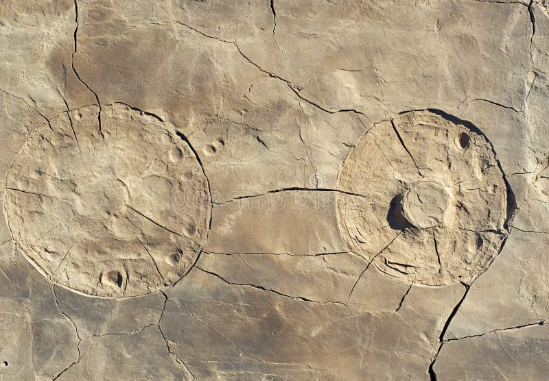 Ancient Stone Circles Cracked Texture Background High Quality Image ...