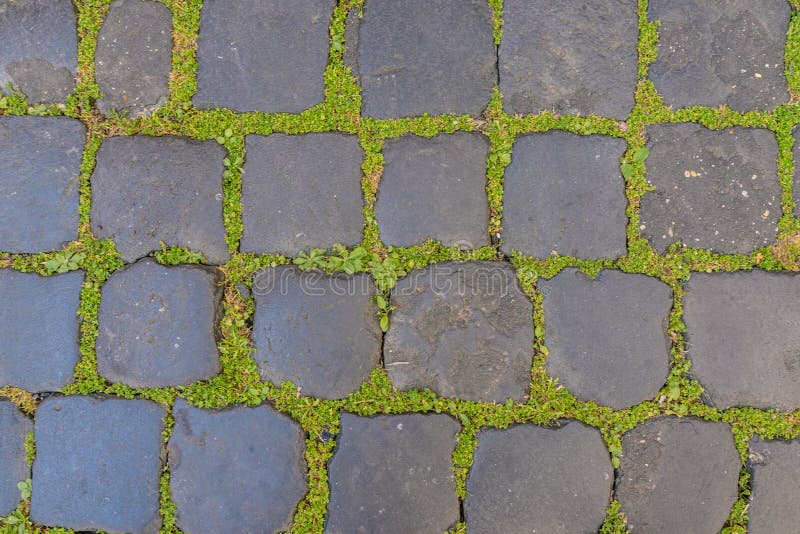 Ancient Stone Floor Pattern with Green Grass As Texture or Background ...
