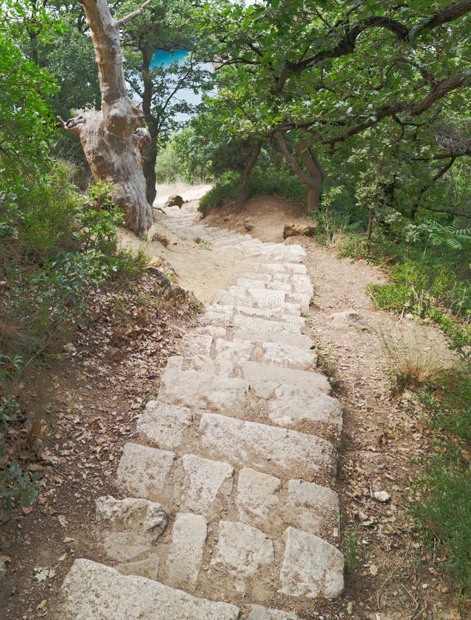 The ancient stone ladder stock photo. Image of growth - 15545552