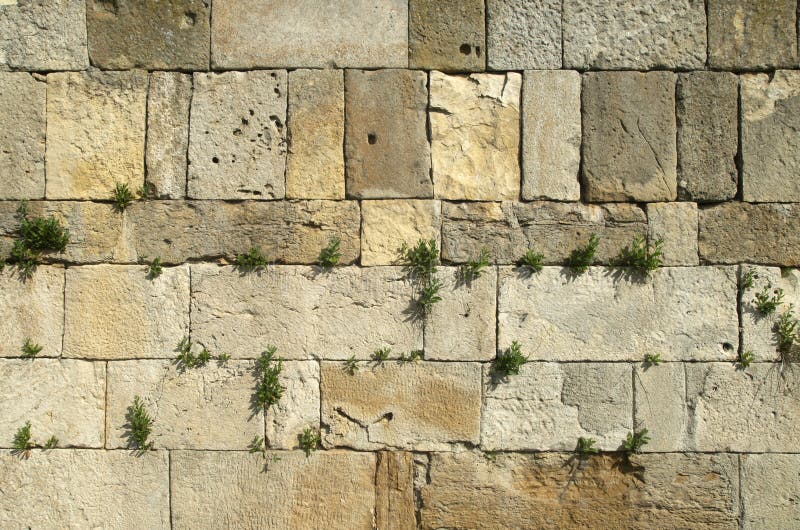 Ancient Stone Limestone Wall with Grass Closeup Stock Photo - Image of ...