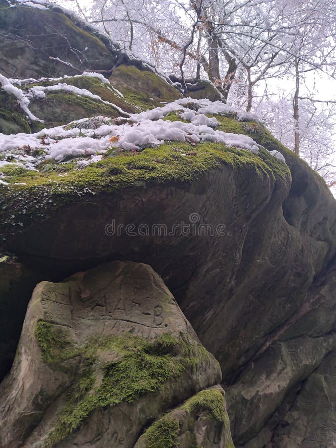 Stone giants. stock photo. Image of ancient, plant, trail - 225925062