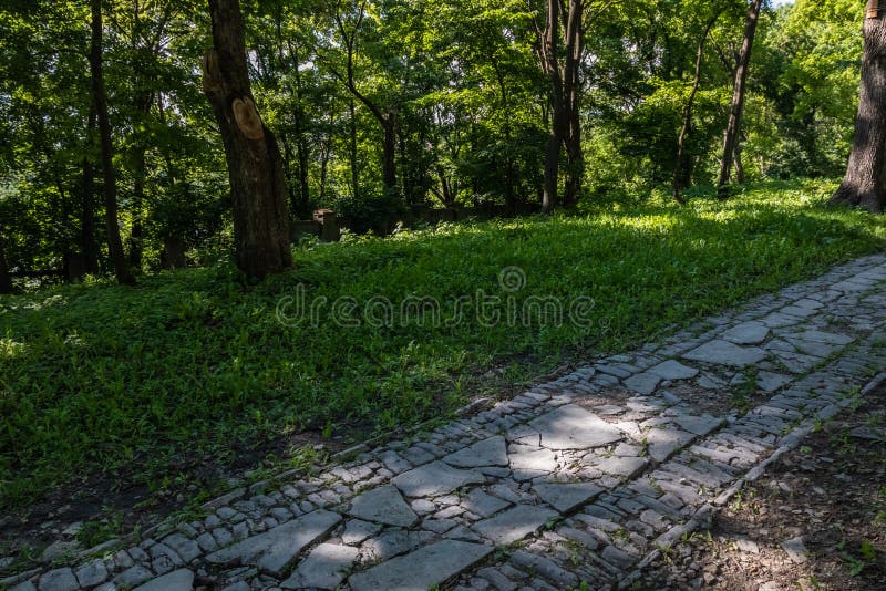 An Ancient Stone Path in the Shade in the Park. Stock Image - Image of ...