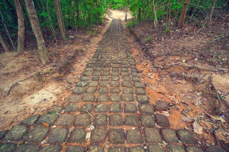 Angkor Wat Picture. Image: 8468846