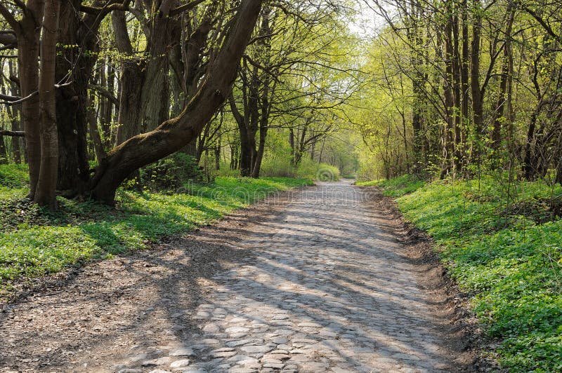 Ancient stone road stock image. Image of avenue, road - 19360601
