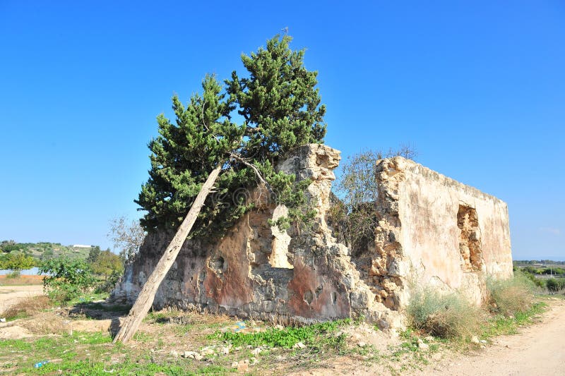 Ancient Stone Ruin with Tree Growing through it Under Clear Blue Sky ...