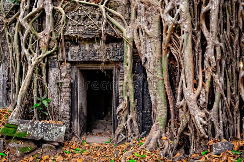 Ancient Stone Temple Door and Tree Roots Stock Image - Image of ...