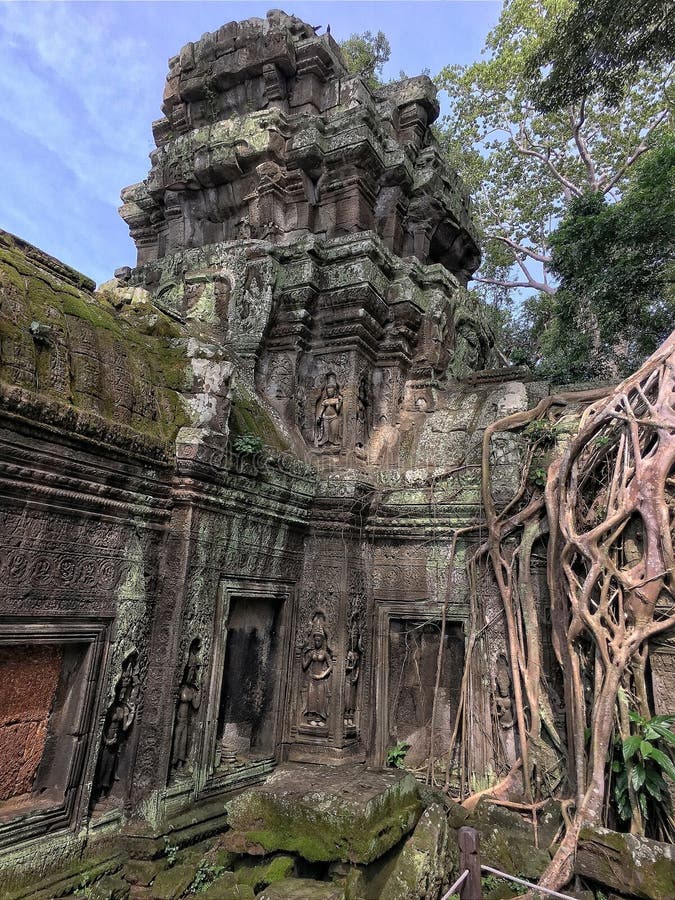 Ancient Stone Temple Ruins with Tree Roots Stock Photo - Image of ...