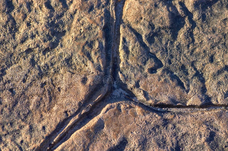 Ancient Stone Tile at Sunset Sun, Background and Texture Stock Image ...