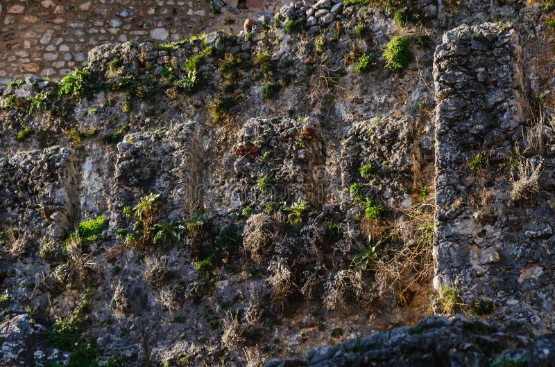 Ancient Stone Wall with Natural Vegetation Growth and Moss Stock Photo ...