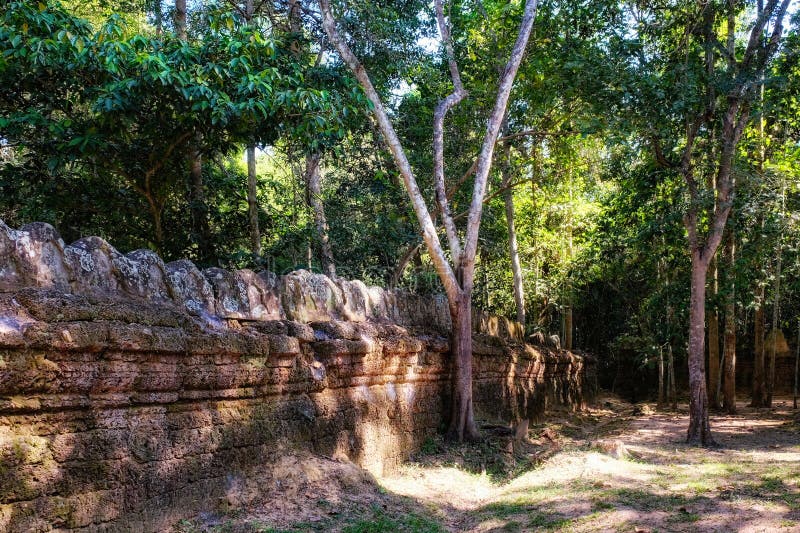 An Ancient Stone Wall among the Trees in the Cambodian Forest Stock ...