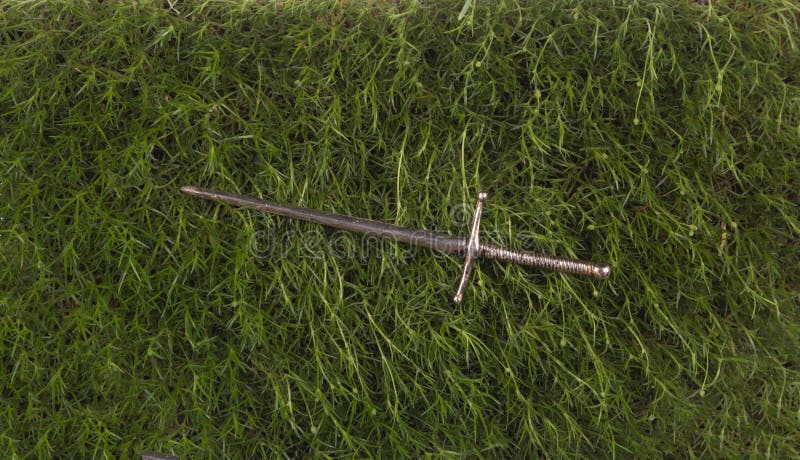 Ancient sword , green moss stock photo. Image of fairytale - 296524784