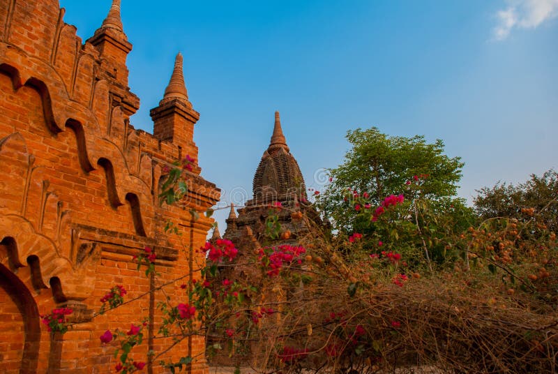 Ancient Temples in Bagan, Myanmar. Burma Stock Photo - Image of ...