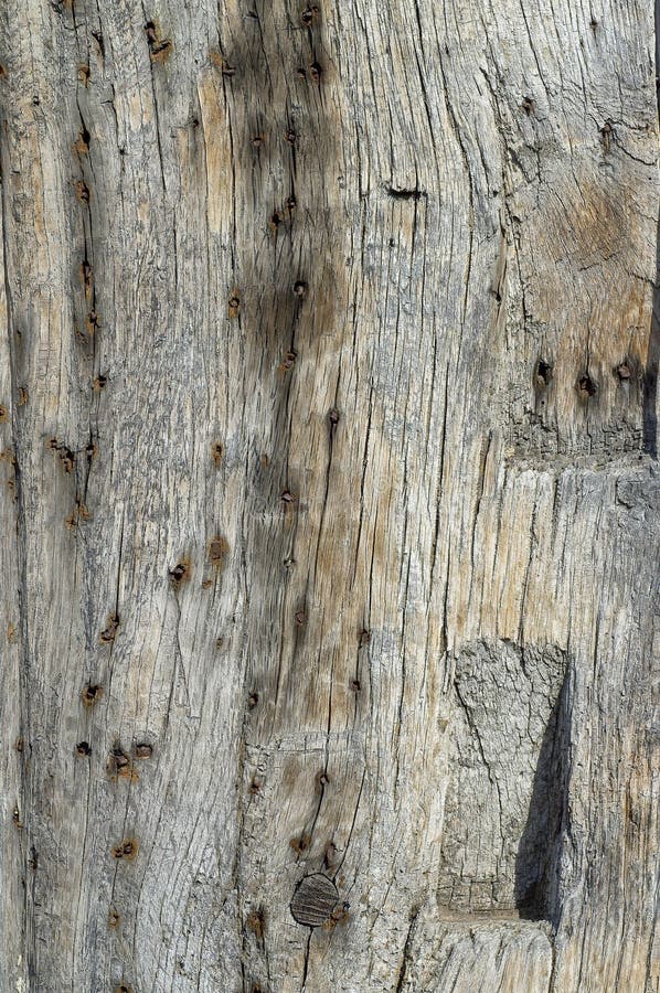 Ancient timber beam stock image. Image of macro, weathered - 4955217