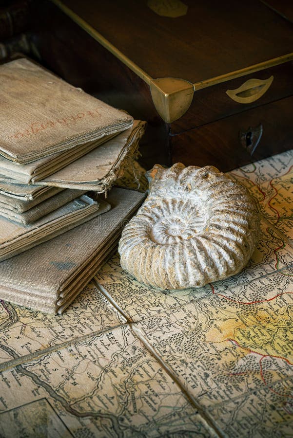 167 Vintage Treasure Maps Stock Photos - Free & Royalty-Free Stock ...