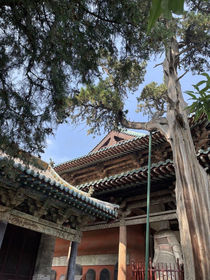 Ancient Tree and Chinese Architecture in Jin Memorial Temple Stock ...