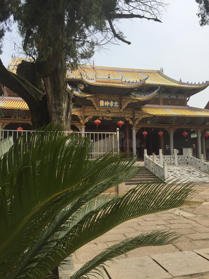 Ancient Trees Hidden in the Concept of the Road Stock Photo - Image of ...