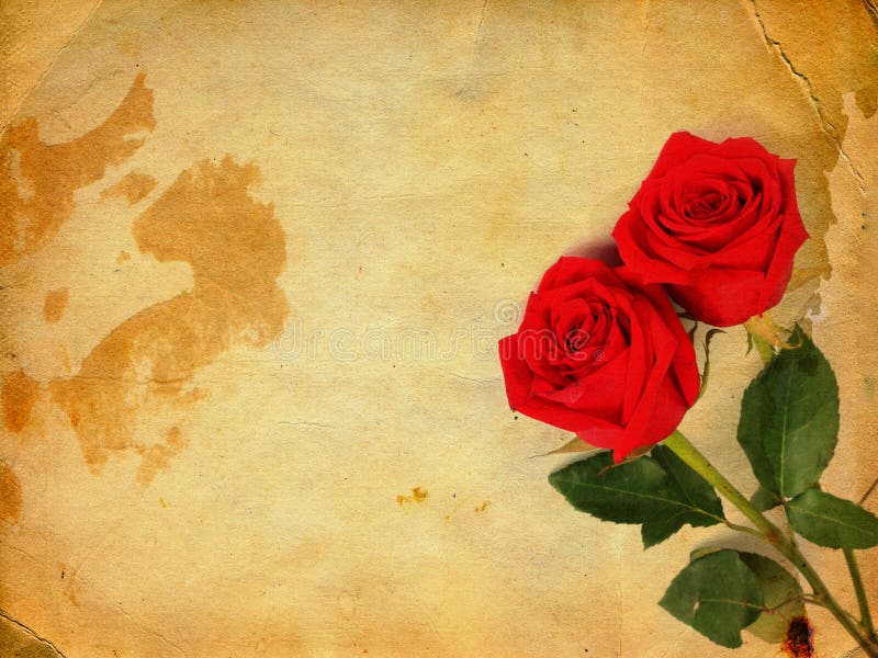 Ancient Used Paper in Scrapbooking Style with Roses Stock Image - Image ...