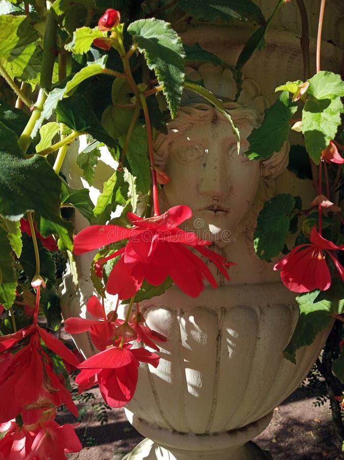 Ancient vase with flowers stock image. Image of vase - 257828729