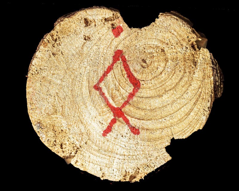 Ancient Viking Rune on Tree Wood Stock Photo - Image of petal, organ ...