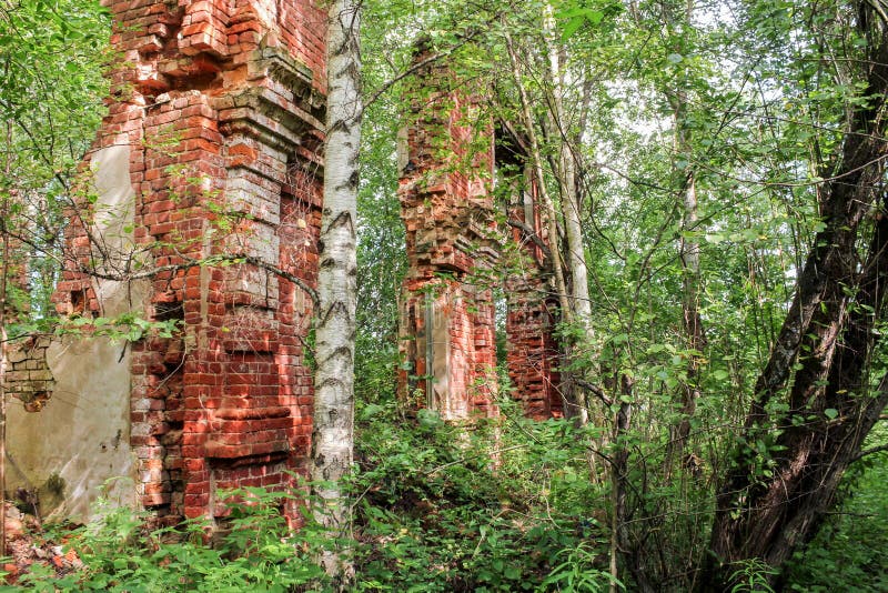 Ancient Walls of the Monastery in the Forest. Stock Photo - Image of ...