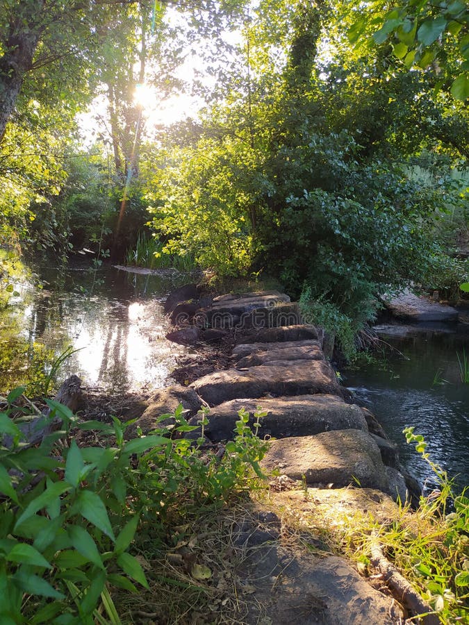 Ancient Waterfall in Portugal Stock Image - Image of creek, waterway ...