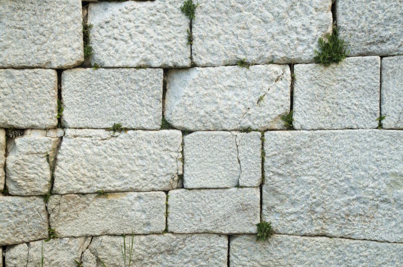Ancient White Marble Wall with Grass Close Up Stock Image - Image of ...