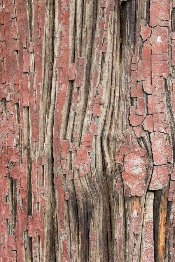 Pillar texture stock photo. Image of washington, roof - 9251458