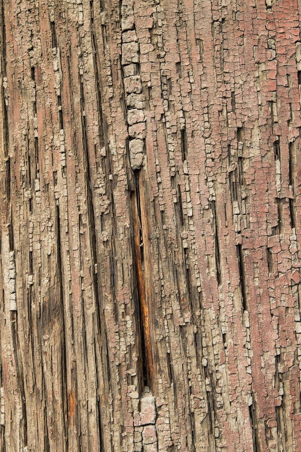 9,579 Pillar Texture Stock Photos - Free & Royalty-Free Stock Photos ...