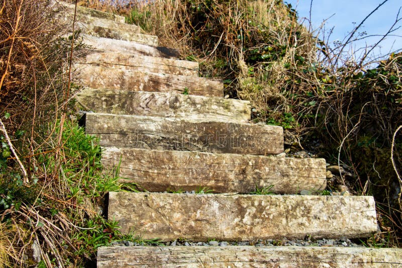 Ancient Wooden Abandoned Steps Going Up in the Park Stock Image - Image ...