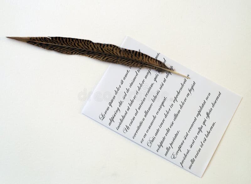 Write ancient bird feather stock image. Image of empty - 29345587