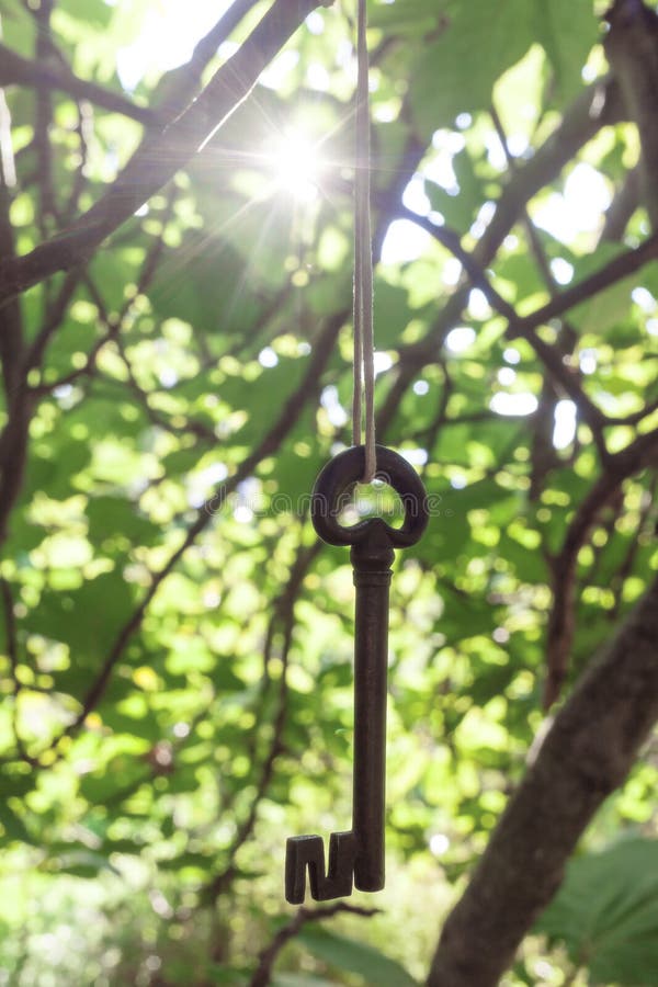 Ancient Wrought Iron Key Hanging between Branches. Stock Photo - Image ...