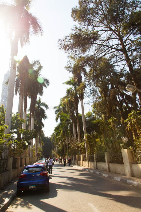 Andalus Park - Cairo Egypt editorial stock image. Image of forest ...
