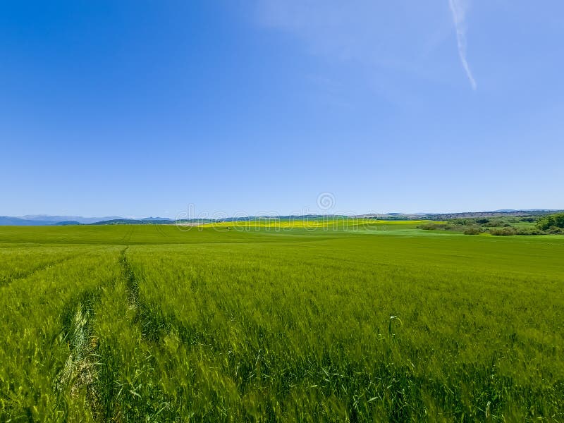 Andalusia Landscape during Spring in Spain Stock Image - Image of crops ...