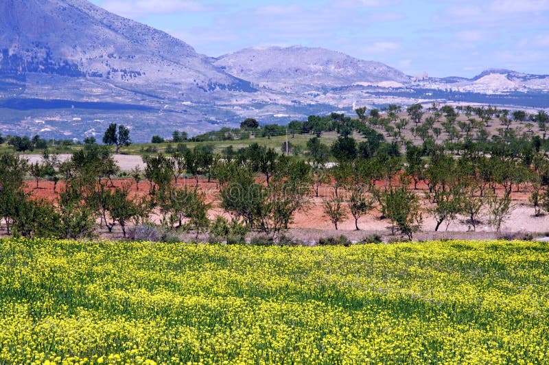Andalusian Countryside, Spain. Stock Photo - Image of architecture ...
