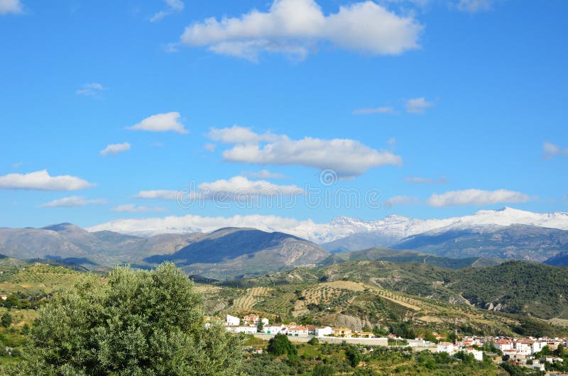Andalusian View with Mountains in Spring Stock Image - Image of tree ...