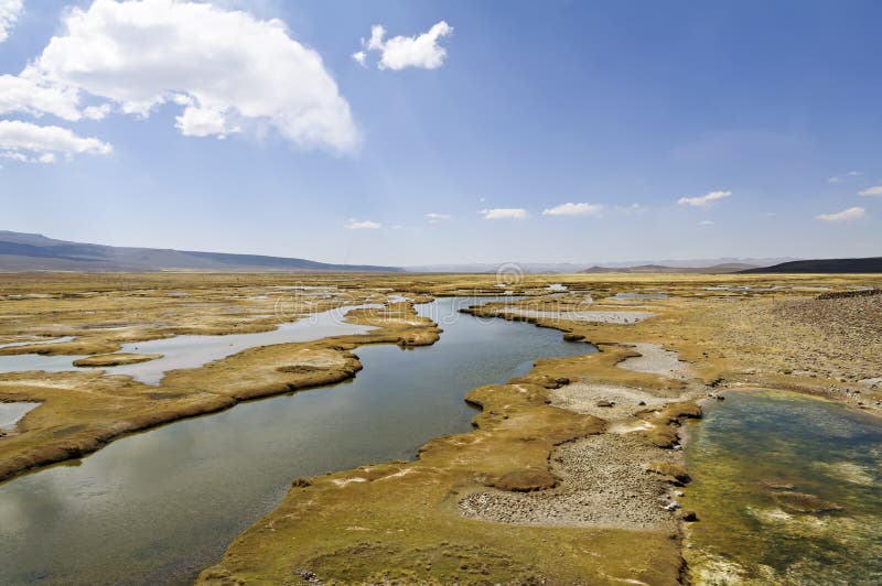 Andean Alpine Tundra, Peru stock photo. Image of color - 18750556