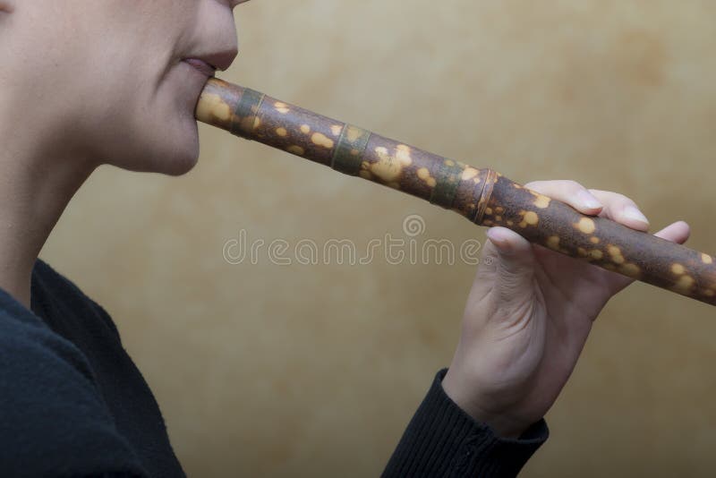 The Andean instruments stock photo. Image of flute, music - 2406734