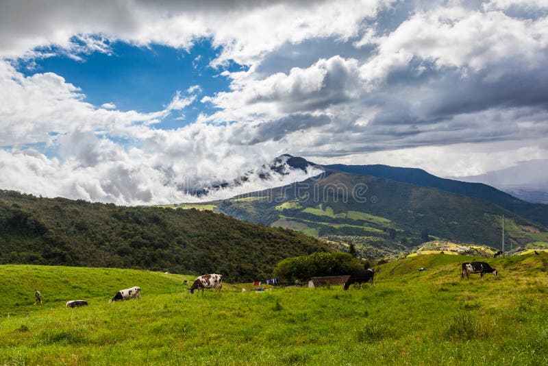 Andean landscape stock image. Image of andean, scenery - 128025815