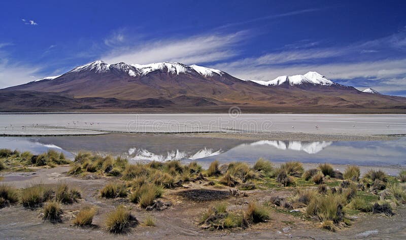 Andean Landscape Hedionda Lake, Bolivia Stock Photo - Image of ...