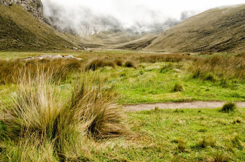 The Andes in Ecuador stock image. Image of america, mist - 40991445