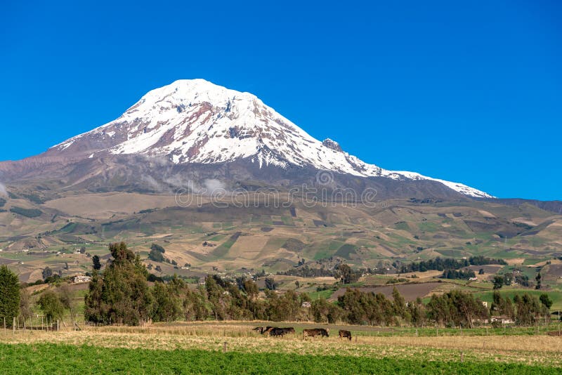Andes Mountain Cotopaxi in Ecuador Stock Image - Image of summit, snow ...