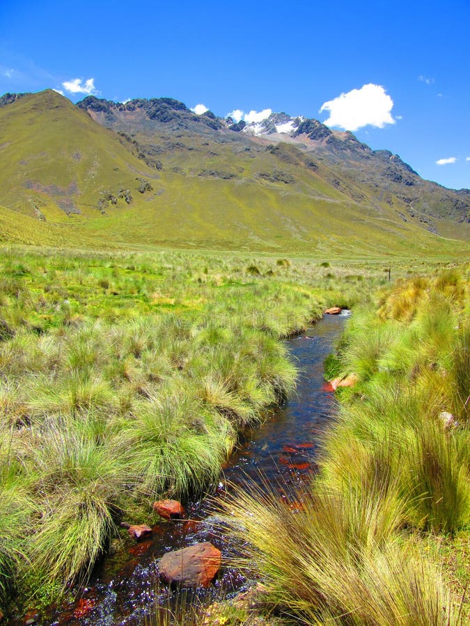 Amazon River, Country Side of Peru. Stock Image - Image of 14000 ...