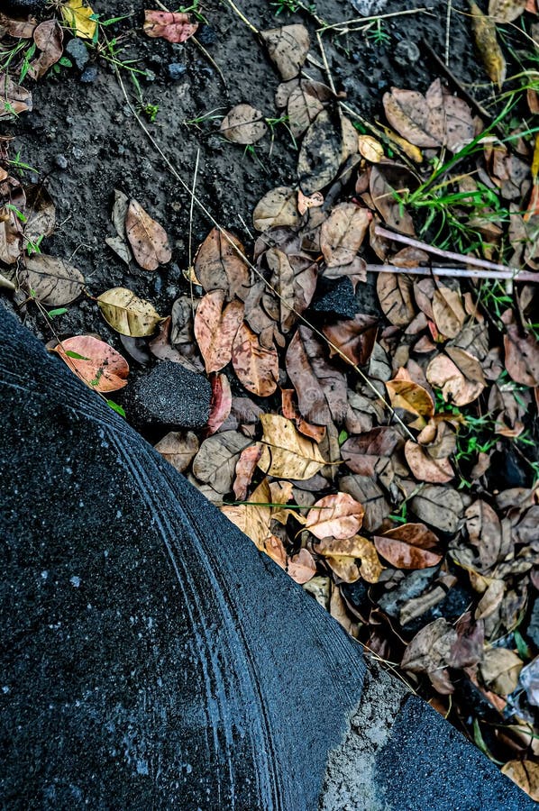 Andesite and fall leaves stock image. Image of seasons - 366816809