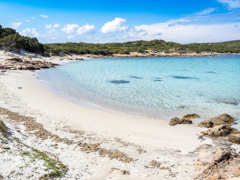 Andreani Beach in Caprera Island, Italy Stock Photo - Image of ...