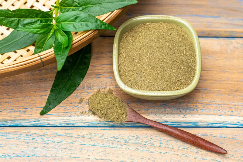 Andrographis Paniculata Plant Stock Image - Image of asia, brown: 220292005