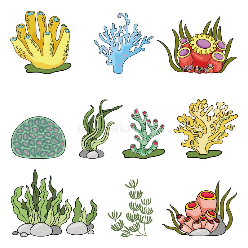Anemone and Algae Set in a Simple Linear Style. Color Set in Cartoon ... Anemone and Algae Set in a Simple Linear Style. Color Set in Cartoon ...